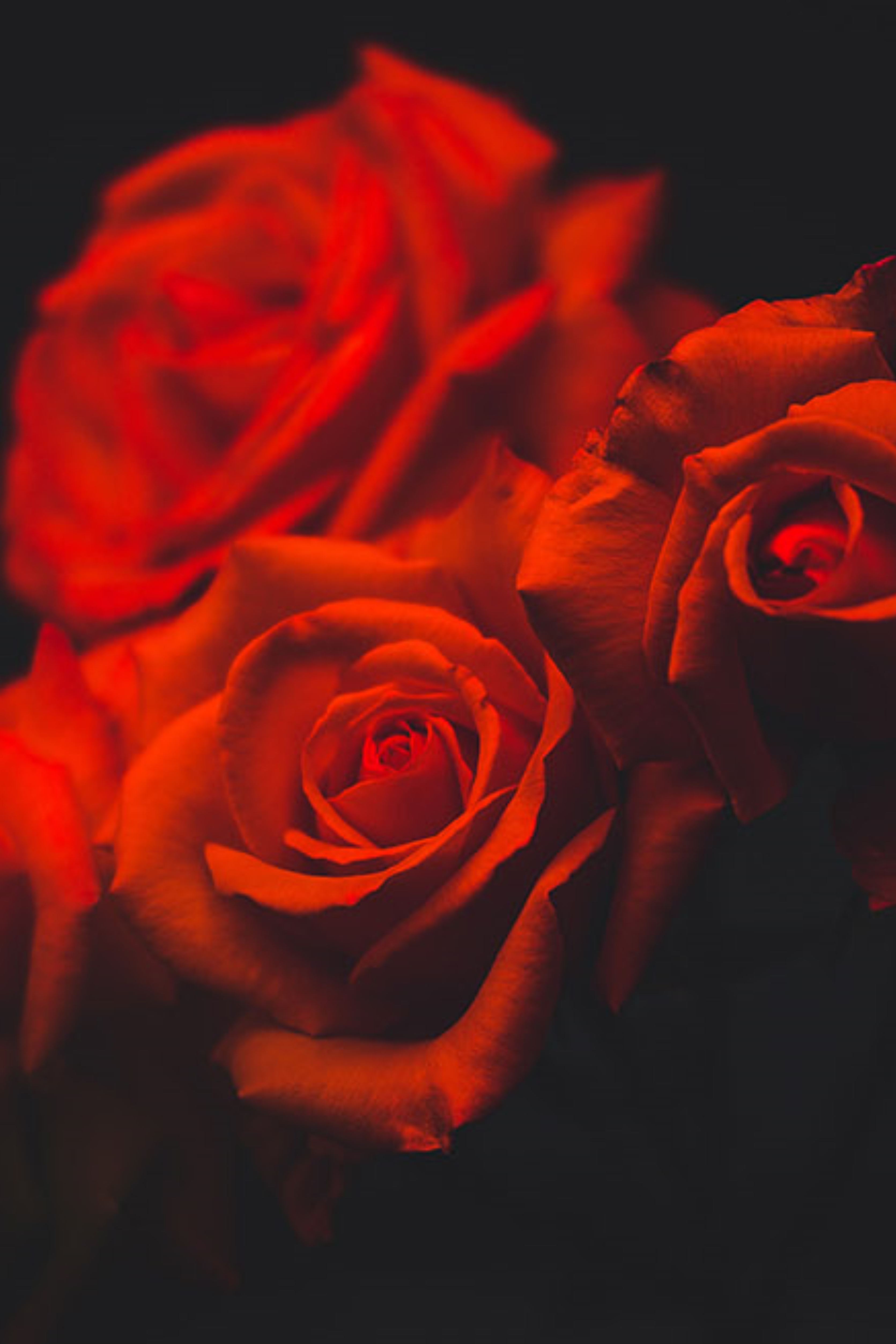 Amuse Kitchen > Home